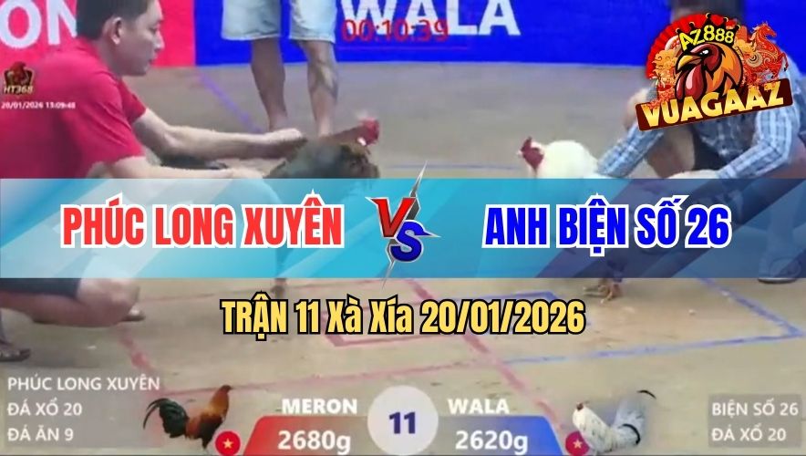 Trận 11 Xà Xía 20/01/2026 – Điều Quá Đá Anh Kiểm Không Cứu Được Xanh